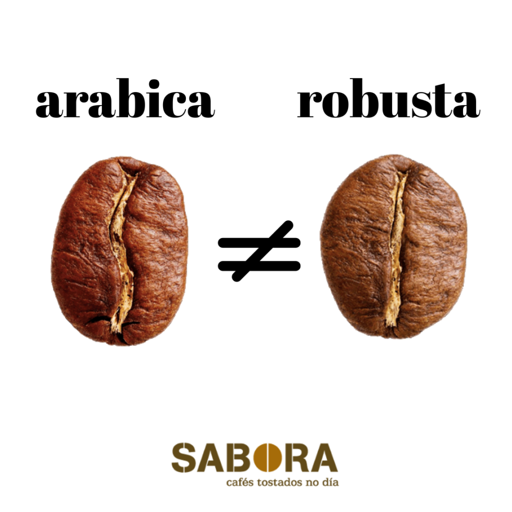 Diferencias entre café arabica y robusta: todo lo que debes saber ...