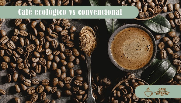 Explorando las diferencias entre café regular y descafeinado | LATAZADECAFE
