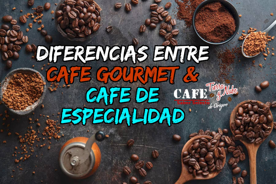 La distinción entre café gourmet y café: todo lo que necesitas saber ...