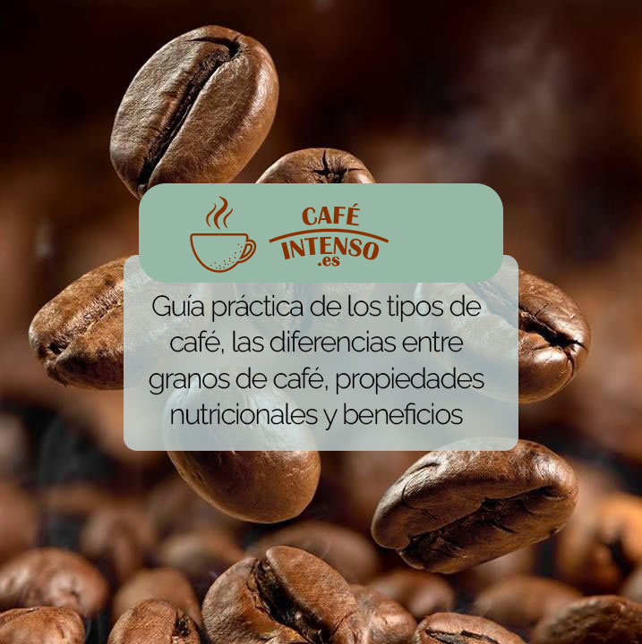 Todo lo que debes saber sobre el café: tipos beneficios y curiosidades | LATAZADECAFE